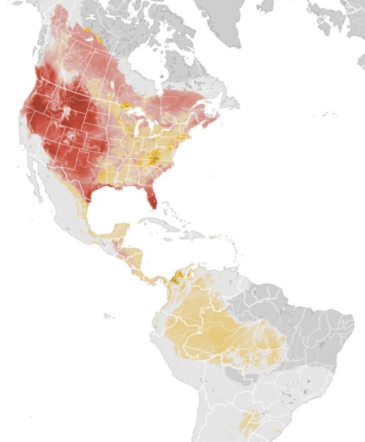 Just for the birds: Visualizing bird data | Community | idahopress.com