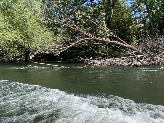 Official Boise River float season to start next week | Local News ...