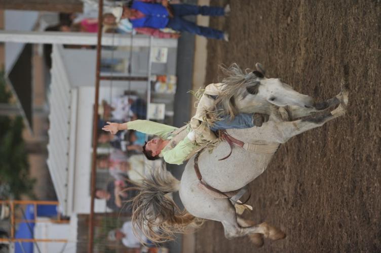 Owyhee County Rodeo | Sports | idahopress.com