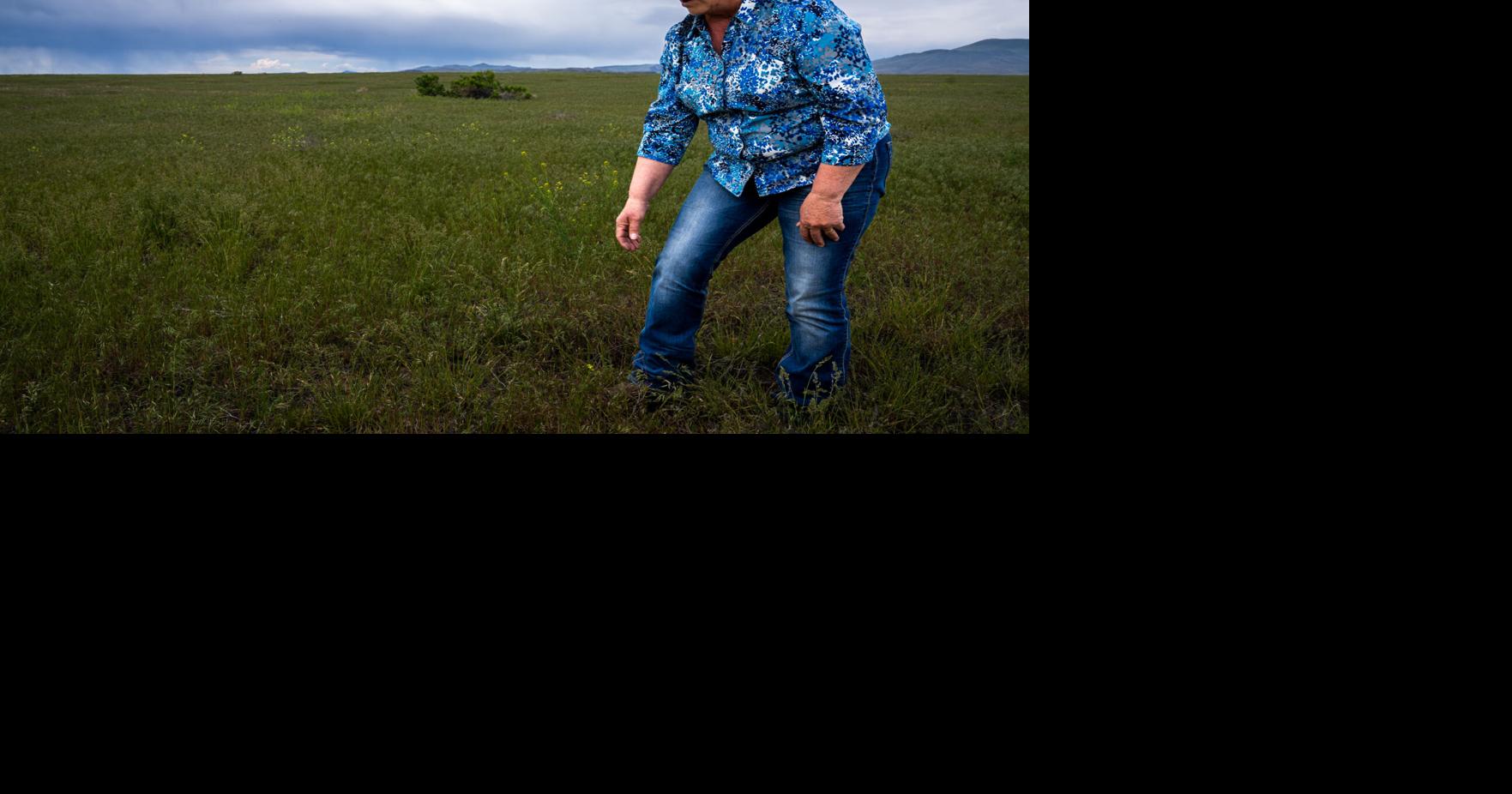 Graze to reduce the blaze: Ranching and cattle grazing efforts now ...