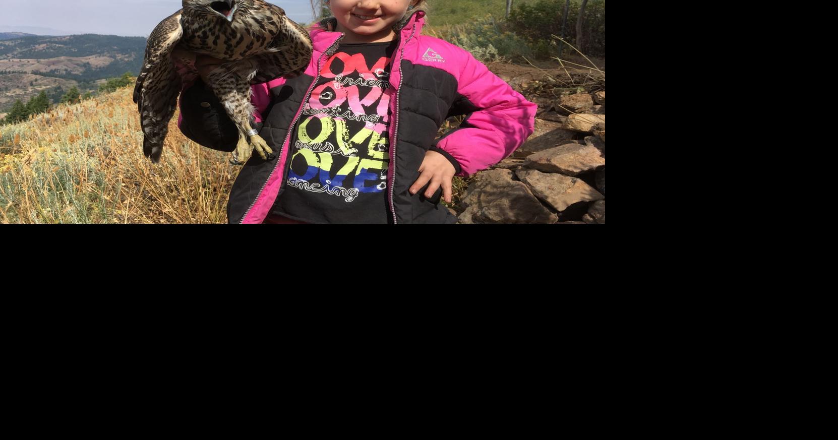 Just for the birds: Hawk watch at the Intermountain Bird Observatory ...