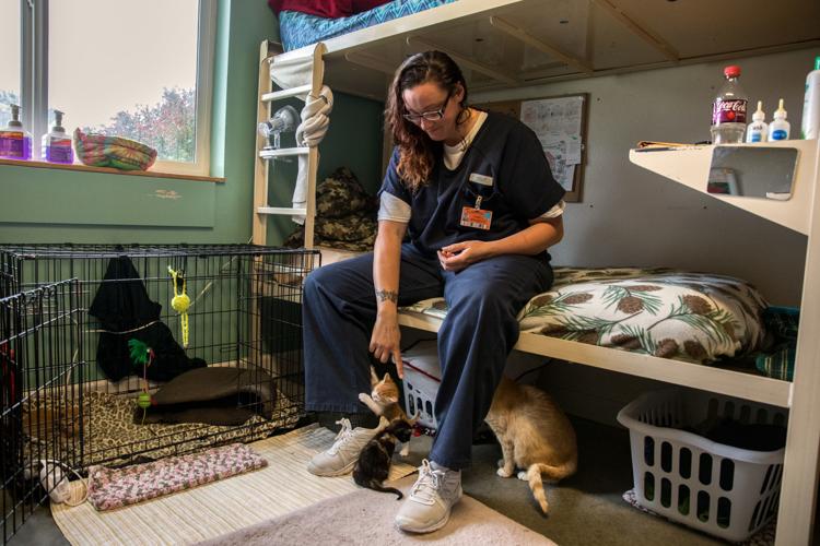 Do riders work? Recidivism data says not really | Local News ...