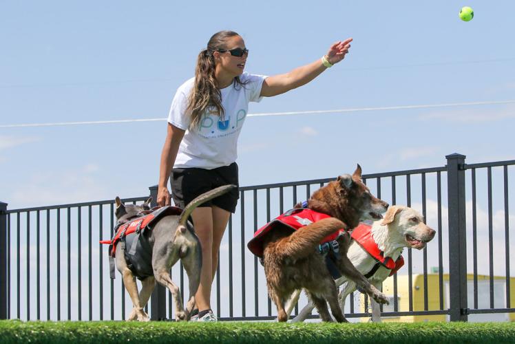 Dog days of summer: P.U.P. pool opens in Kuna | Local News | idahopress.com