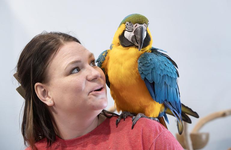 'A unique kind of person’: Remembering Caldwell's 'birdman' and ...