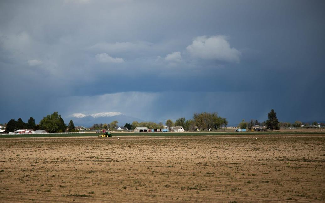 Vallivue purchased land from a trustee's father for millions above ...