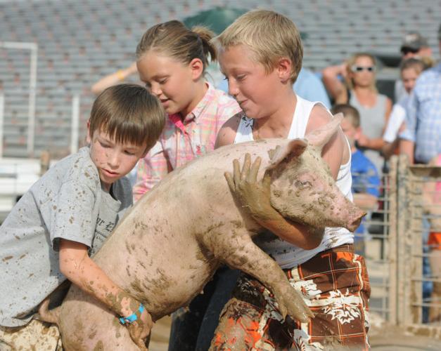 Pig Wrestling at the Fair | Photo Gallery | idahopress.com