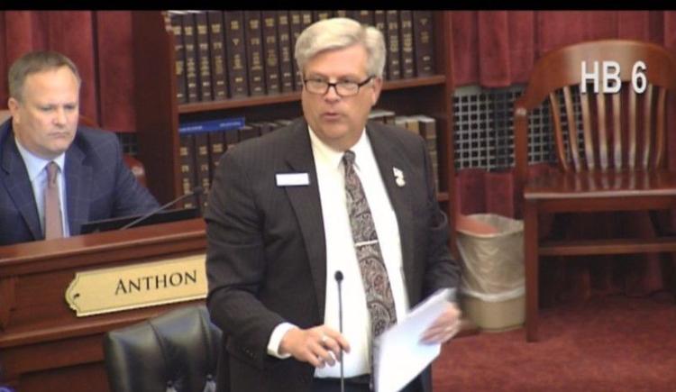 Senate passes liability immunity bill on 27-7 vote | Eye on Boise ...