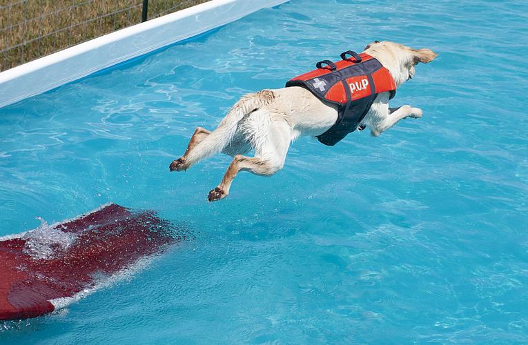 Dog days of summer: P.U.P. pool opens in Kuna | Local News | idahopress.com