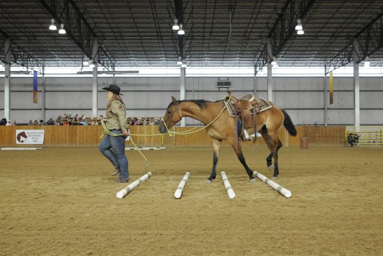 Extreme Mustang Makeover | Photos | idahopress.com
