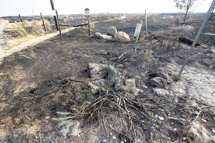 Plex fire near Micron in Boise impacting air quality, expected to be ...