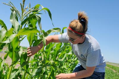 Blue Barn Produce & More brings plenty to local tables | Community ...