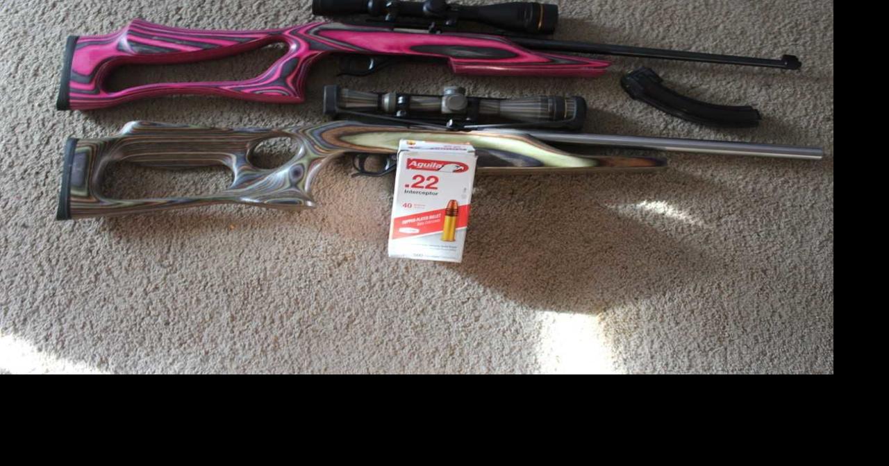 Plinking 101 | Outdoors News | idahopress.com