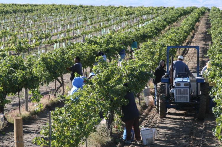 Ron and Mary Bitner named Farm Family of 2013 | Members | idahopress.com