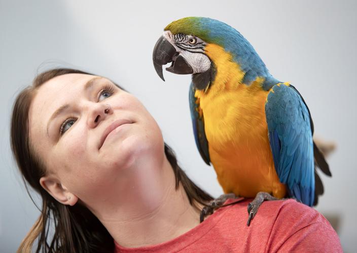 'A unique kind of person’: Remembering Caldwell's 'birdman' and ...