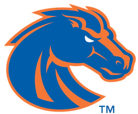 Boise State softball coach Justin Shults takes hitting coach job at ...