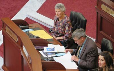 Senate committee posts swapped around; new Sen. Bayer tells chamber her ...