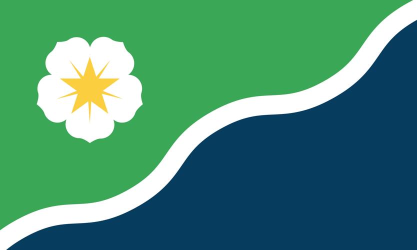 Voting now open for new Boise flag | Local News | idahopress.com