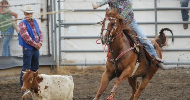 Fast run at Homedale Rodeo means decision time | Sports | idahopress.com