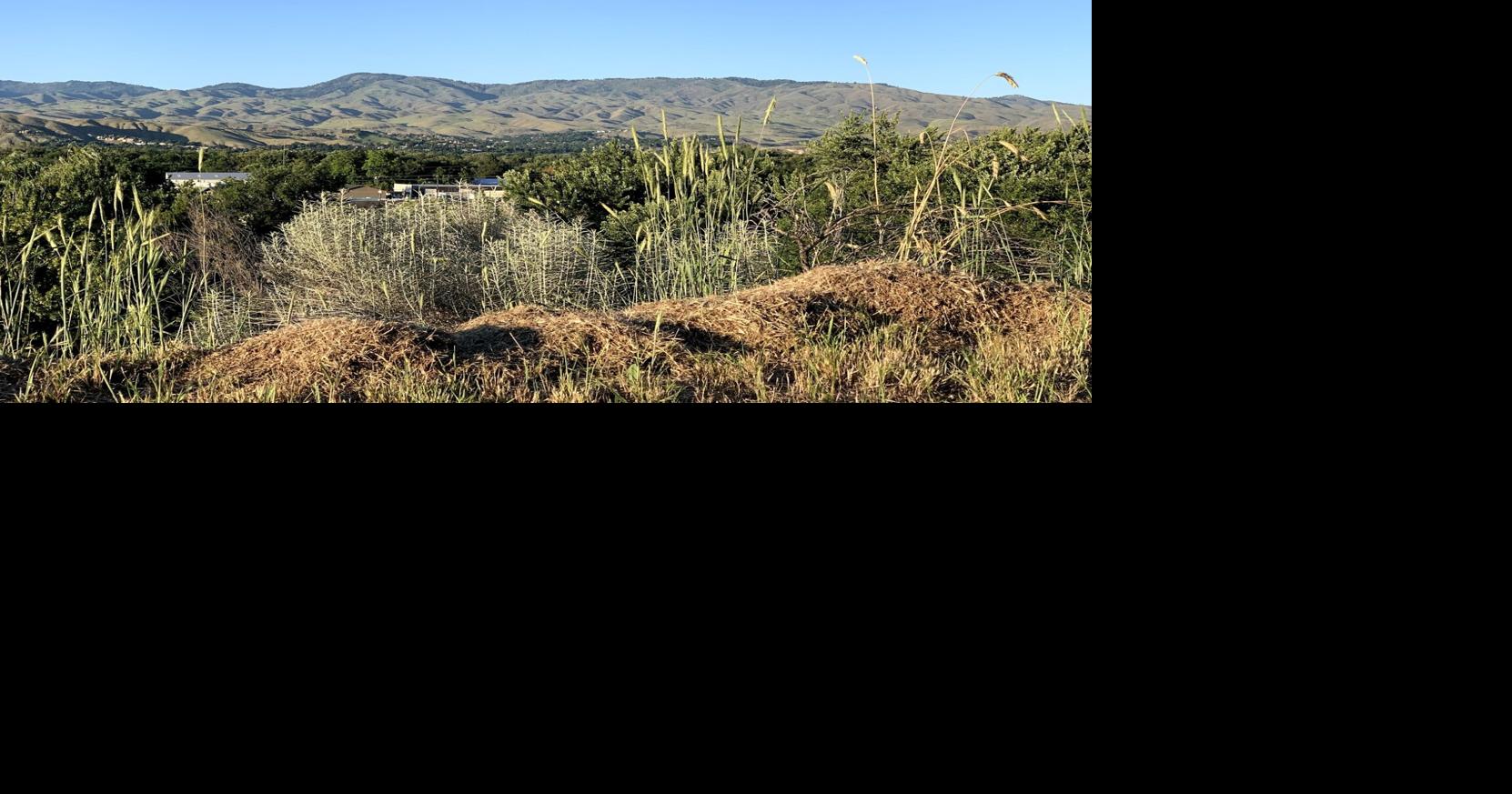 Water agreement hints at possibility of more foothills development near ...