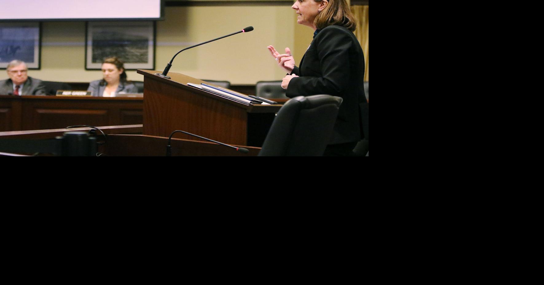 Committee Approves New Maternal Mortality Review Process Sends To Bill
