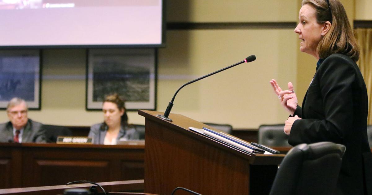 Committee Approves New Maternal Mortality Review Process Sends To Bill