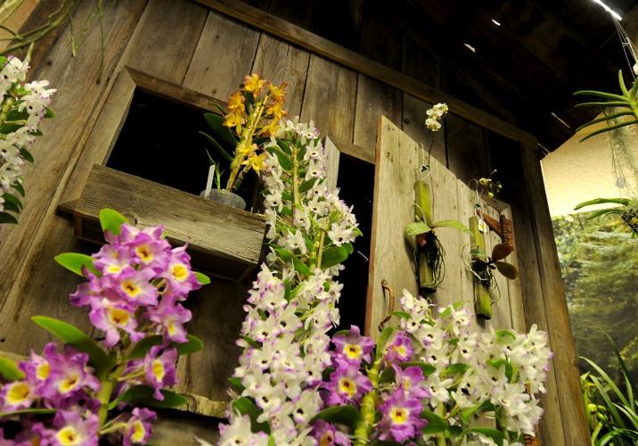 Boise Flower and Garden Show | Photo Gallery | idahopress.com