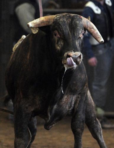 High School Rodeo | Sports | idahopress.com