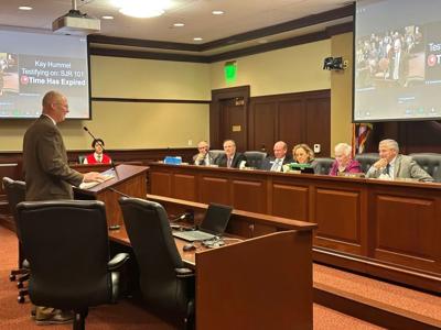 Idaho lawmaker's proposed ballot initiative resolution sent for ...