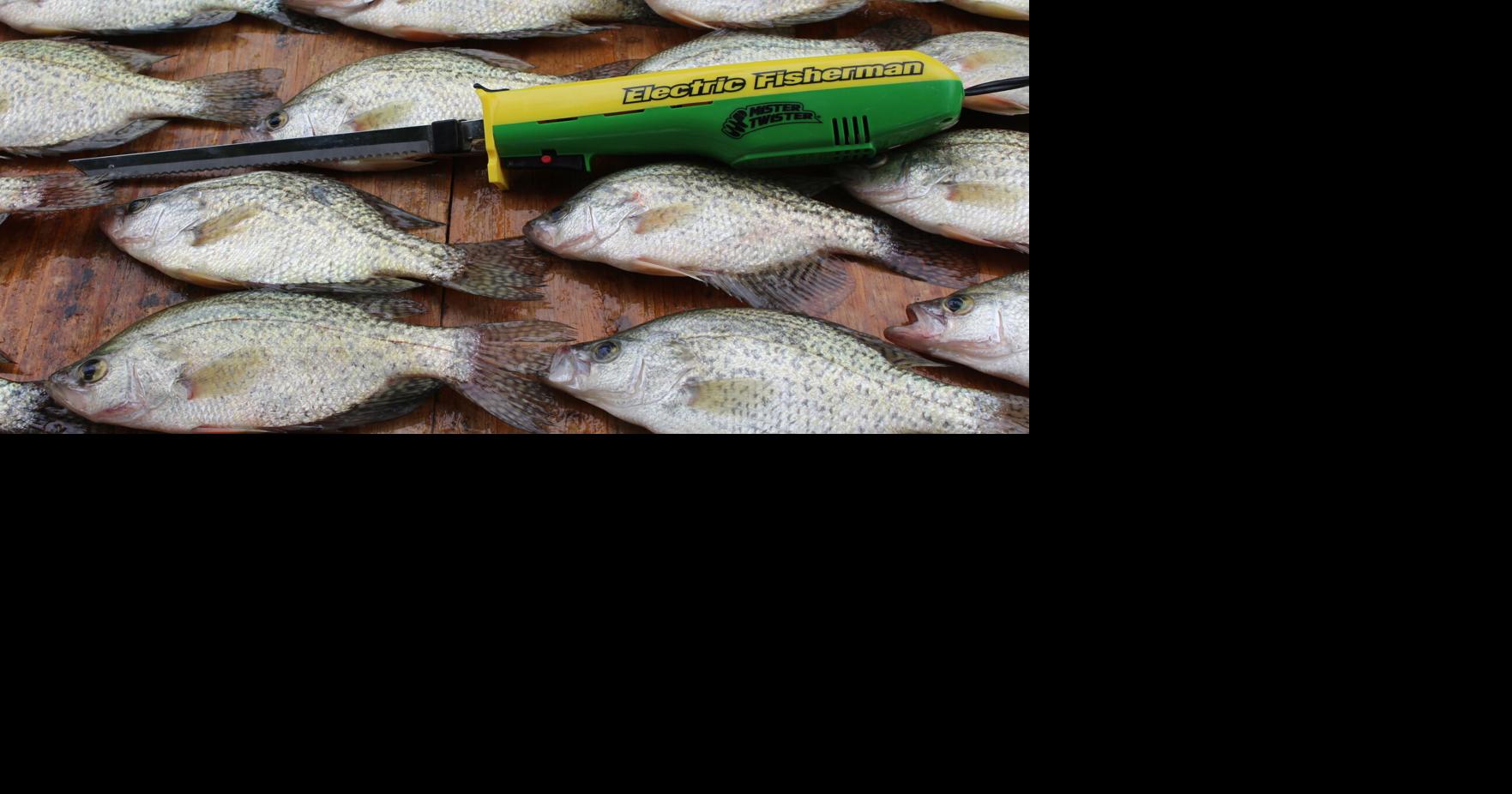 Tom Claycomb: It's here! (Spring, that is) | Community | idahopress.com