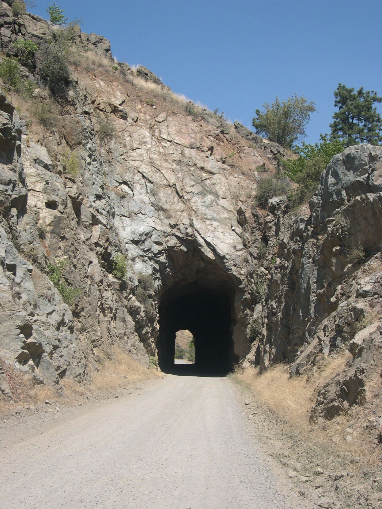 Outdoors Spotlight: What and where is the tunnel on Homestead Road ...
