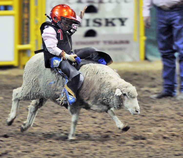 Mutton busting truly fun for kids at rodeo | Sports | idahopress.com