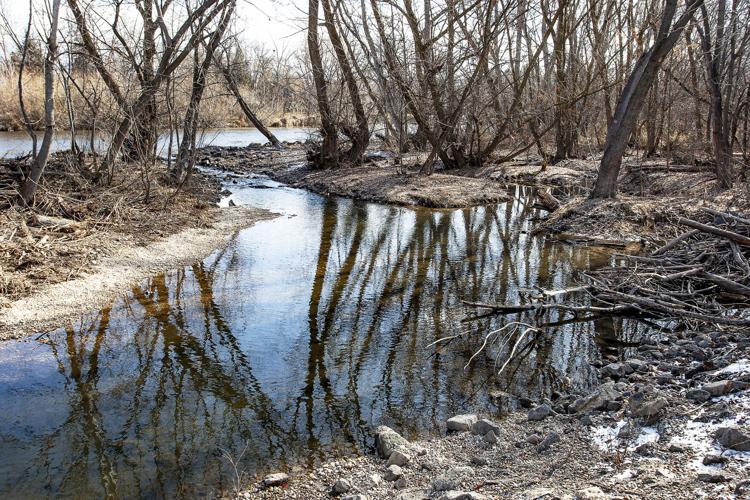 Channel improvement along Boise River to assist with trout spawning ...