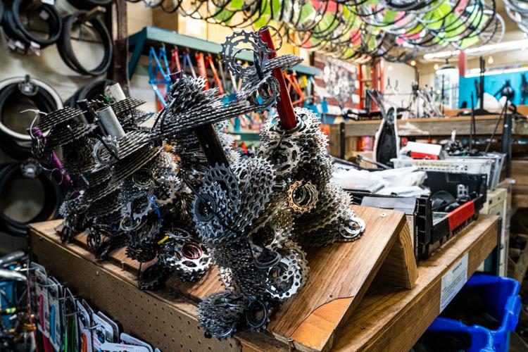Thanks to Idaho Gives fundraising, Boise Bicycle Project's programs ...