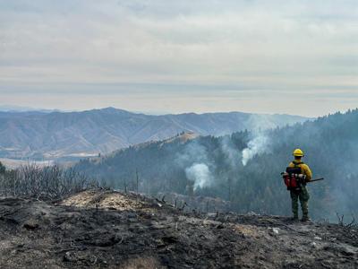 Idaho Power lines determined as likely cause of Valley Fire in Boise ...