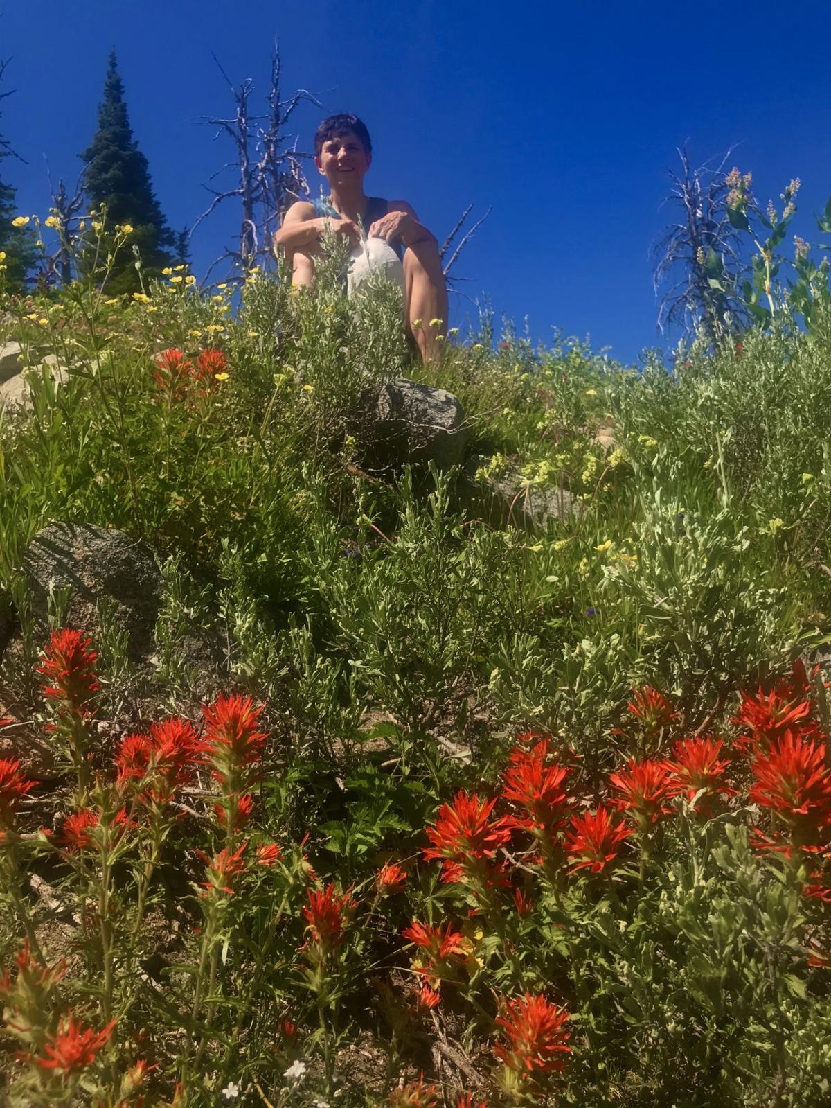 Get high in Idaho — for blooming wildflowers | Community | idahopress.com