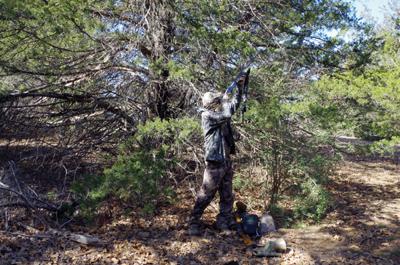 Get prepared early for crow seasons | Community | idahopress.com