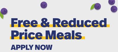 Guidelines released for free and reduced school lunch applications ...