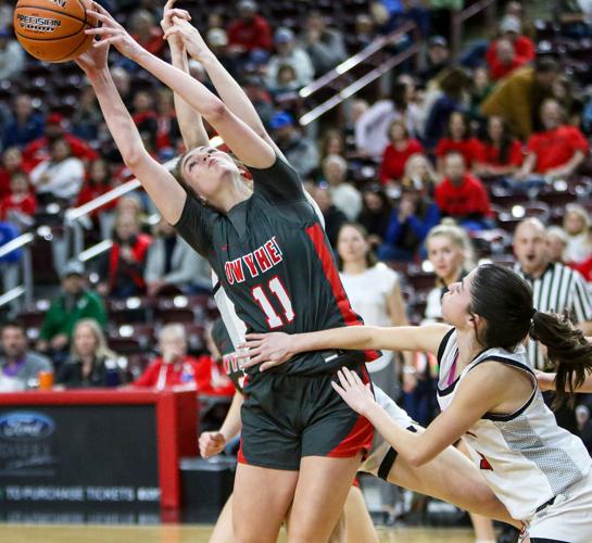 Boise rolls into semifinals with first-round win against Owyhee | High ...