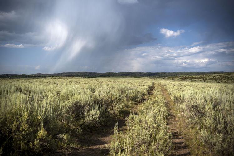 State sells 160 acres of Idaho endowment land near the Tetons to ...