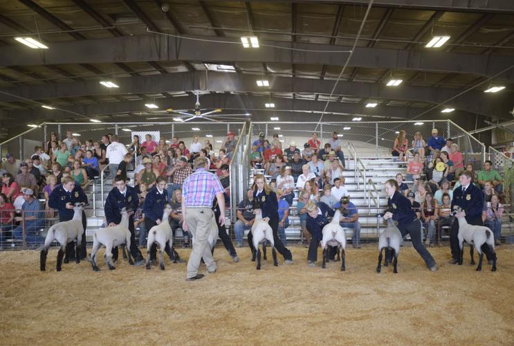 Clowning around at the Canyon County Fair | Local News | idahopress.com