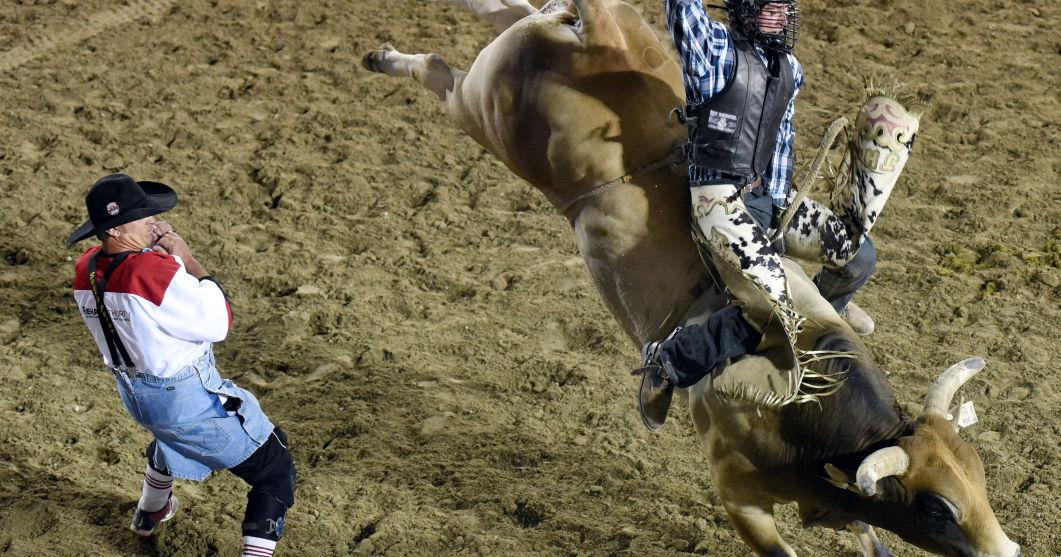 Darrell Diefenbach, Cody Webster shine as bullfighters at CNR | Members ...