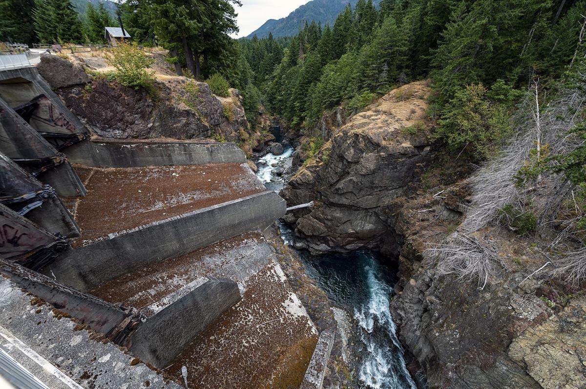 In western Washington’s Elwha River, the removal of two dams led to a ...