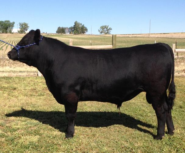 Cancer survivor Kyle Bratton hopes to grant wishes | Local News ...