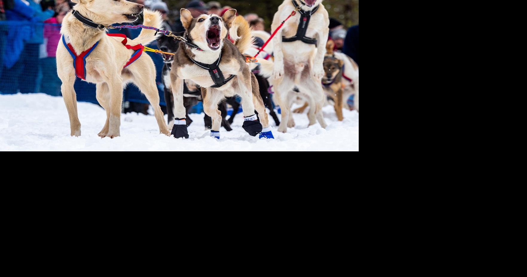 Mush on! Idaho Sled Dog Challenge returns Jan. 20 | Rec & Sports ...