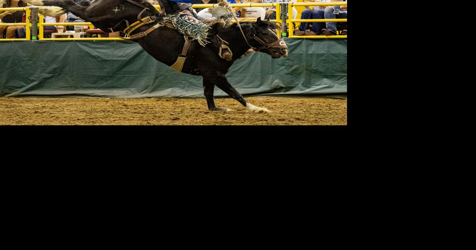 Treasure Valley fairs and rodeos prepare for summer events following ...