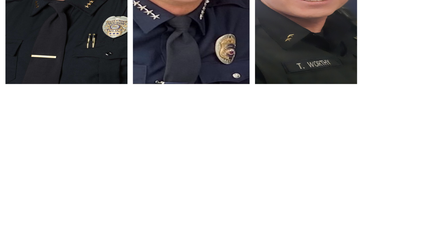 Boise police chief search down to three finalists | Local News ...