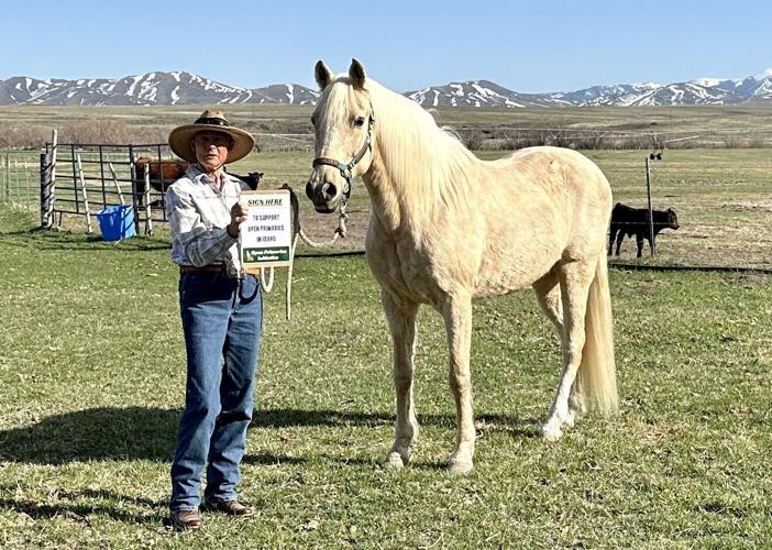 New coalition files initiative to create open primaries in Idaho ...