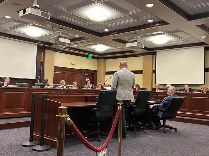 Committee passes bill to ban most gender-affirming care for minors ...