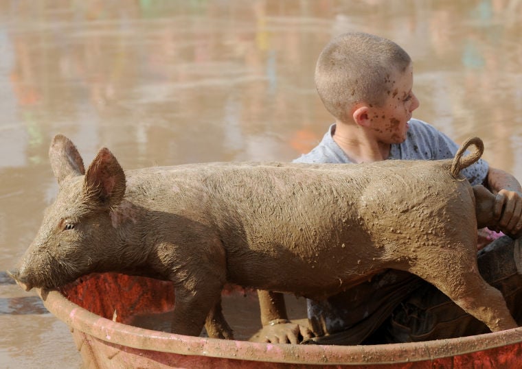 Pig Wrestling at the Fair | Photo Gallery | idahopress.com