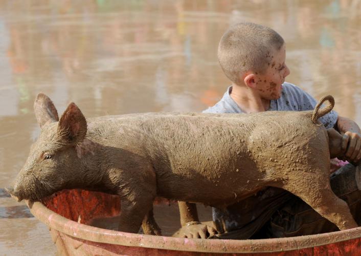 Pig Wrestling at the Fair | Photo Gallery | idahopress.com